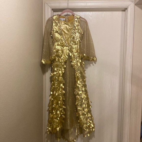 Chasing Fireflies | Costumes | Chasing Fireflies Girls Size 8 Dress ...